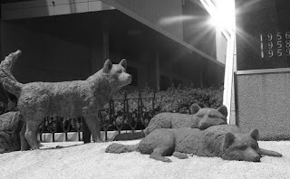 Famous Dogs in History: Taro and Jiro: Antarctica's Survivors