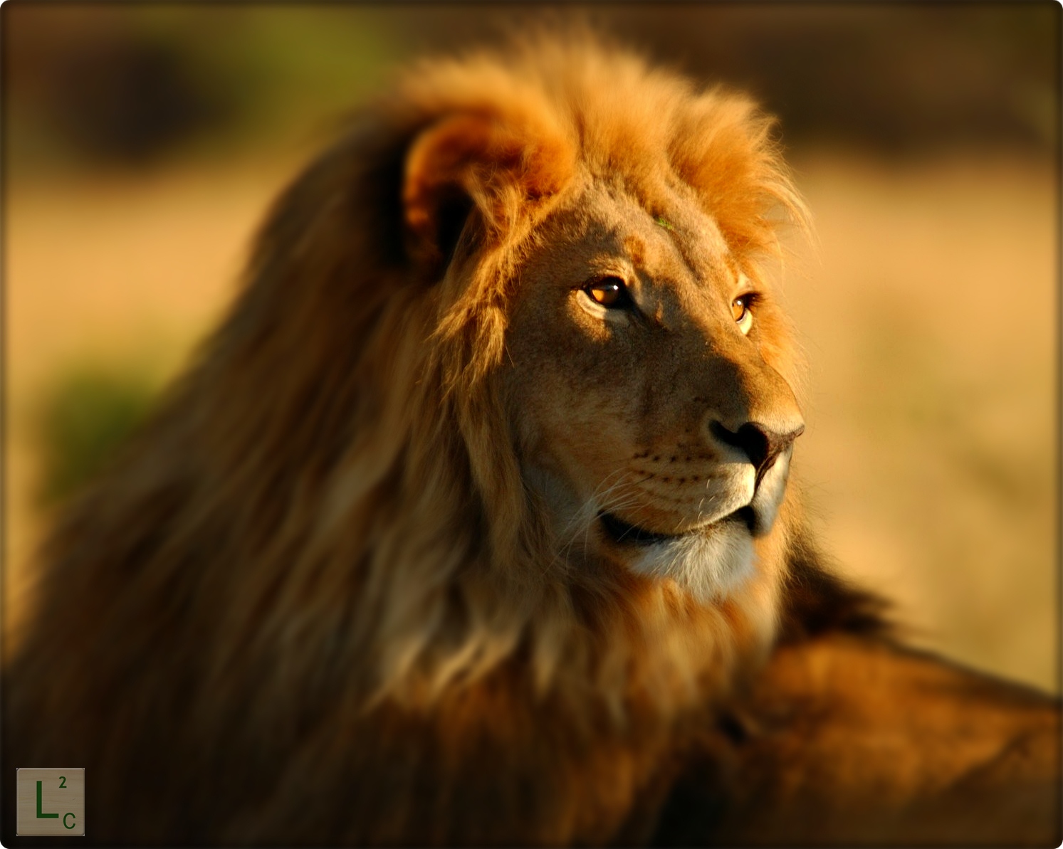 Con qué signo del zodiaco NO eres compatible en el amor - Página 4 ...