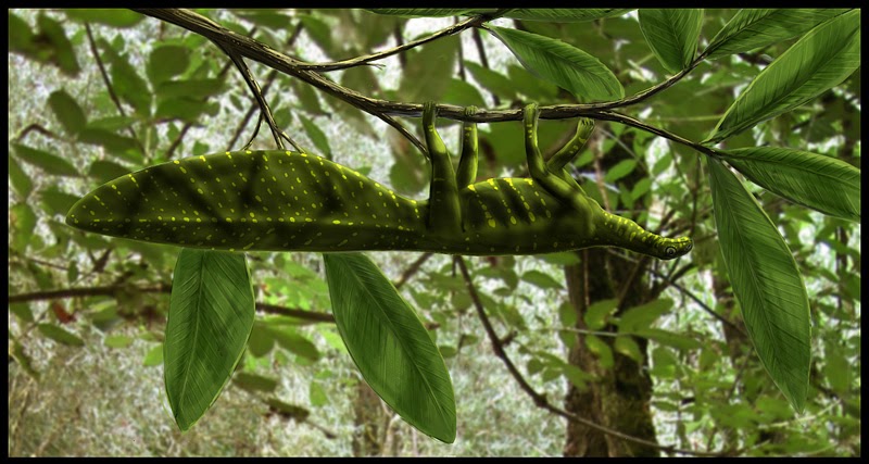 Variety of Life: Diapsida