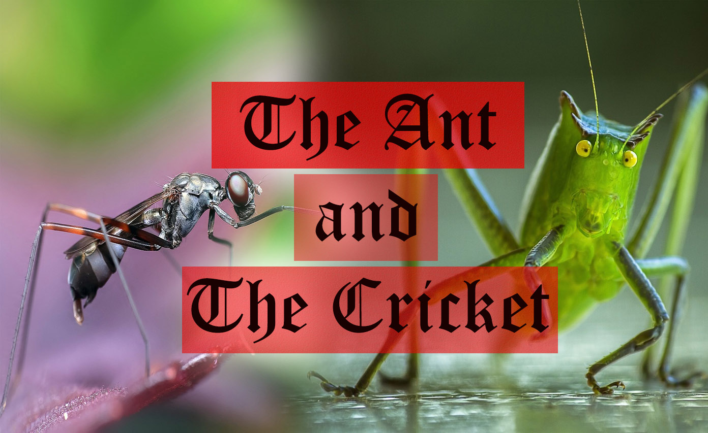Class 8 NCERT SOLUTIONS English Honeydew The Ant And The class-8-ncert-solutions-english-honeydew-the-ant-and-the