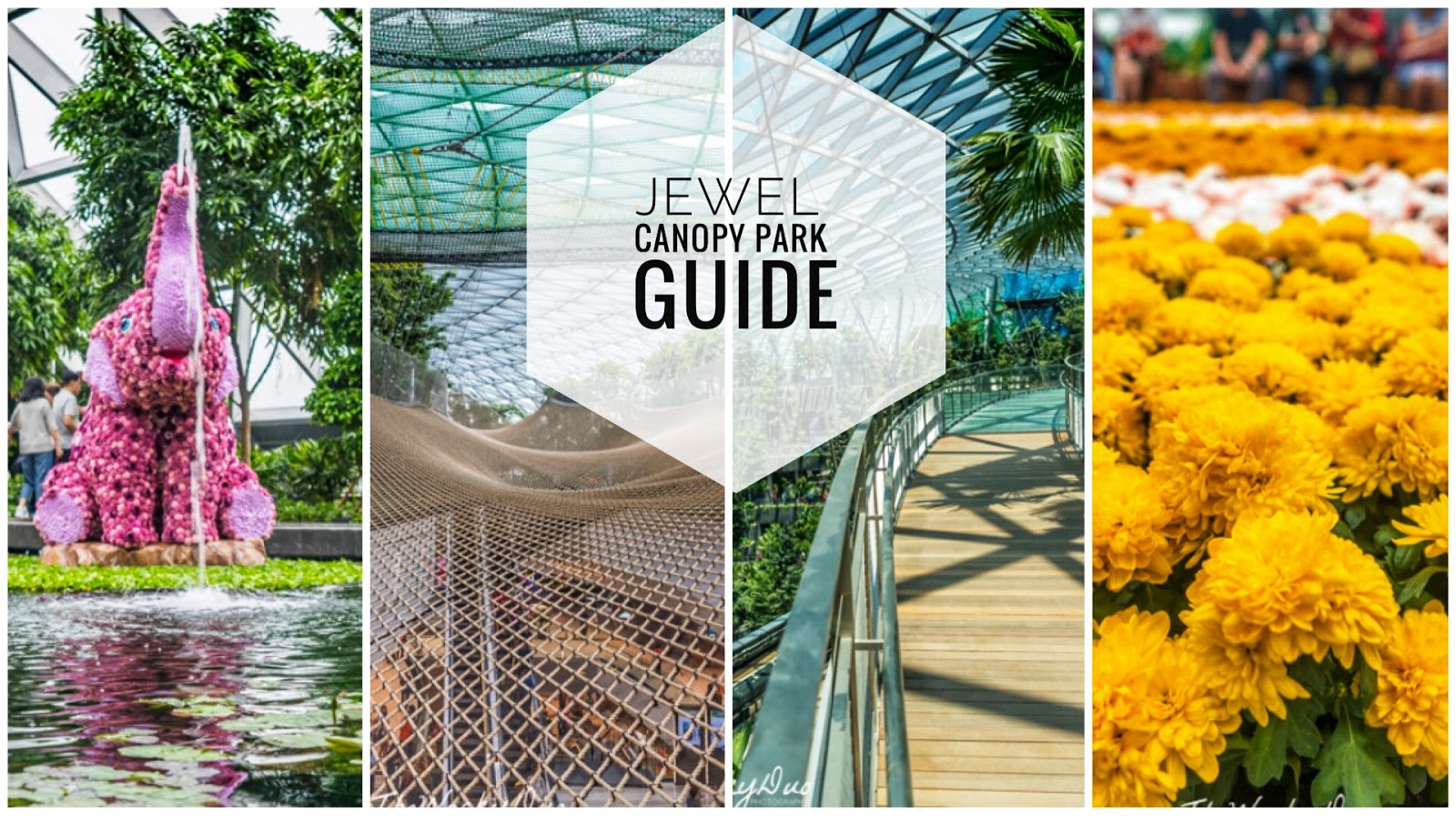 Jewel Canopy Park opens on 10 June and it is Crazy Expensive!+ How to ...