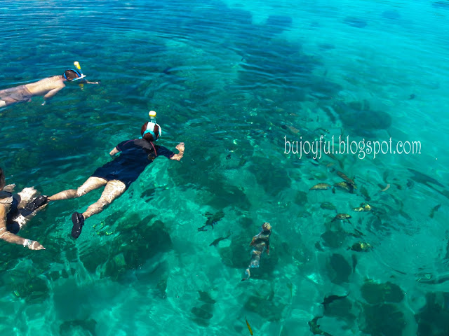 Love.Laugh.TRAVEL: Sorsogon 2016: Matnog (Juag Marine Sanctuary, Subic ...