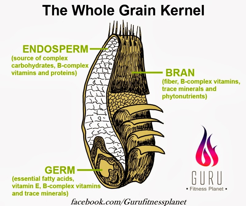 Fitness Guru: Article # 550. Whole Grain Anatomy