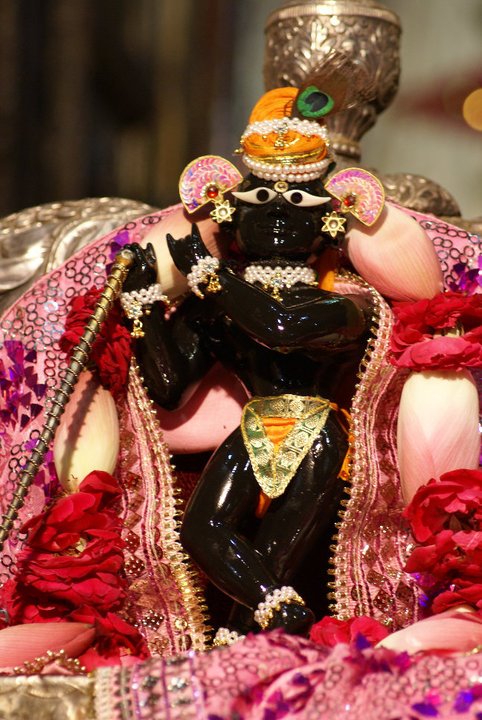 Sri Sri Radha Raman - Self Manifested Form from Salagram of Gopal ...