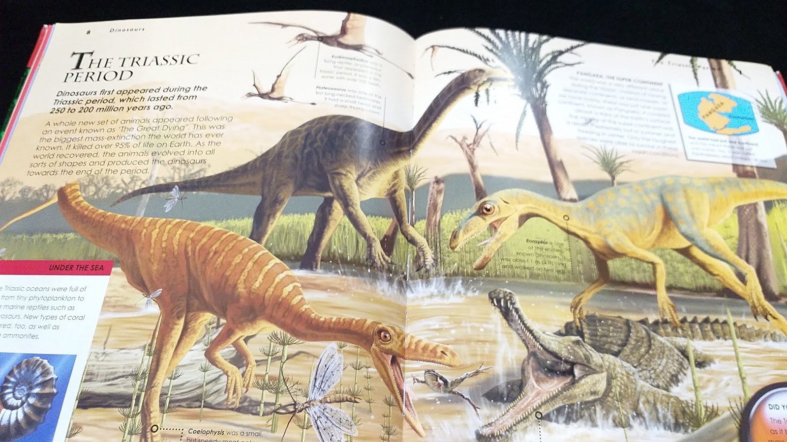 Kid Books Blog: 104.Primary Explorers Dinosaurs / Atlas