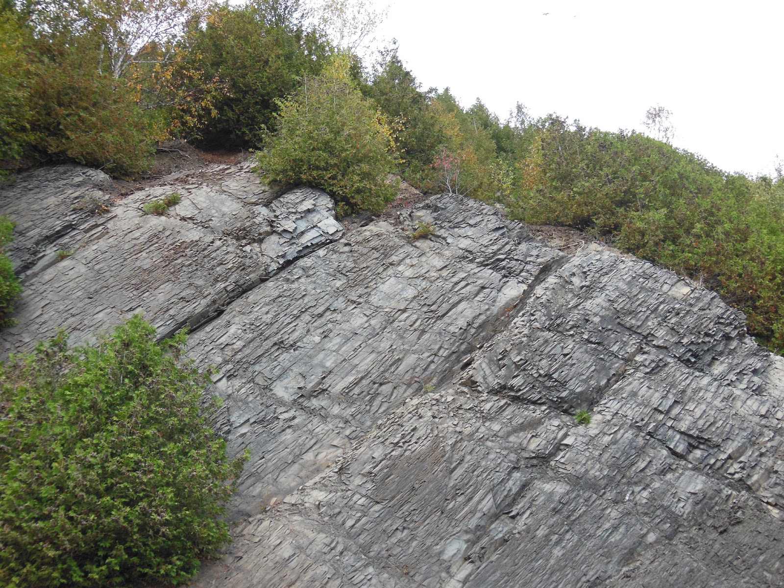 Duke's Excellent Adventure!: Quebec City, I want to go back.