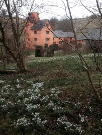 Usk Chirps: Wooded Hillside of the Wolf - Allt-y-Bela