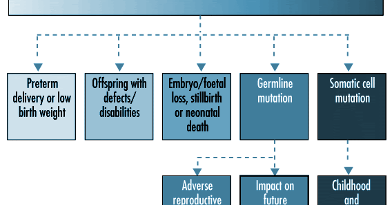 EXPOSURE OF TOXICANTS TO HUMANS ~ Society Guide For Everyone