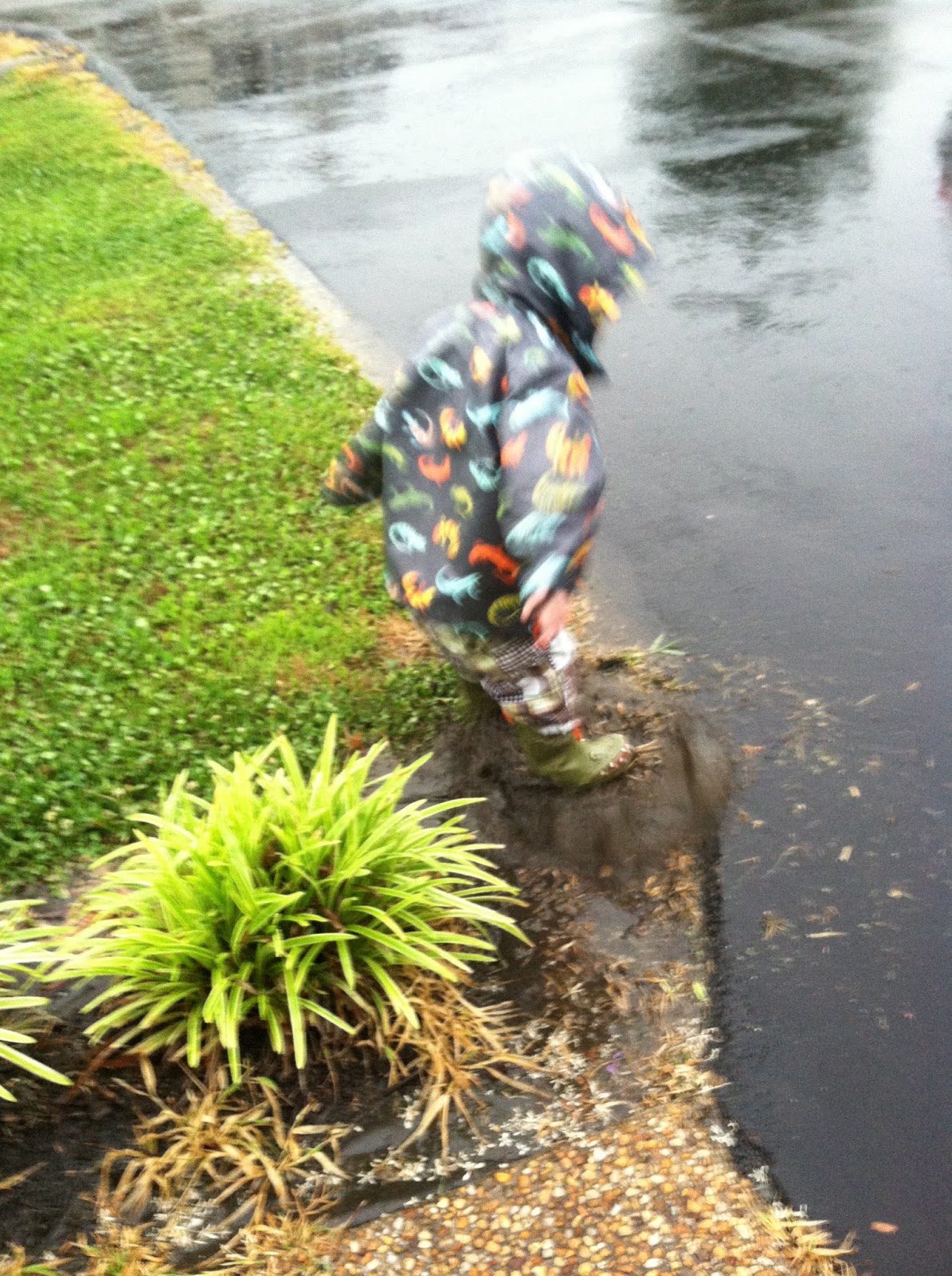 State of Mind of a Southern Belle