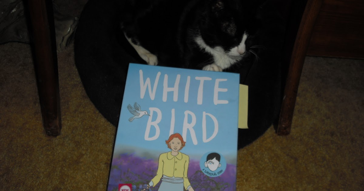 Grab A Book From Our Stack: "White Bird" by R. J. Palacio (a graphic ...