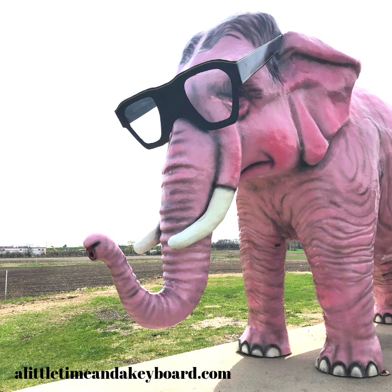 A Little Time and a Keyboard: Smiling with Pinkie the Elephant in ...