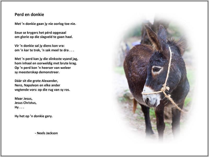 Kiekieblikvreugdes: Donkiegedigte en -gebede