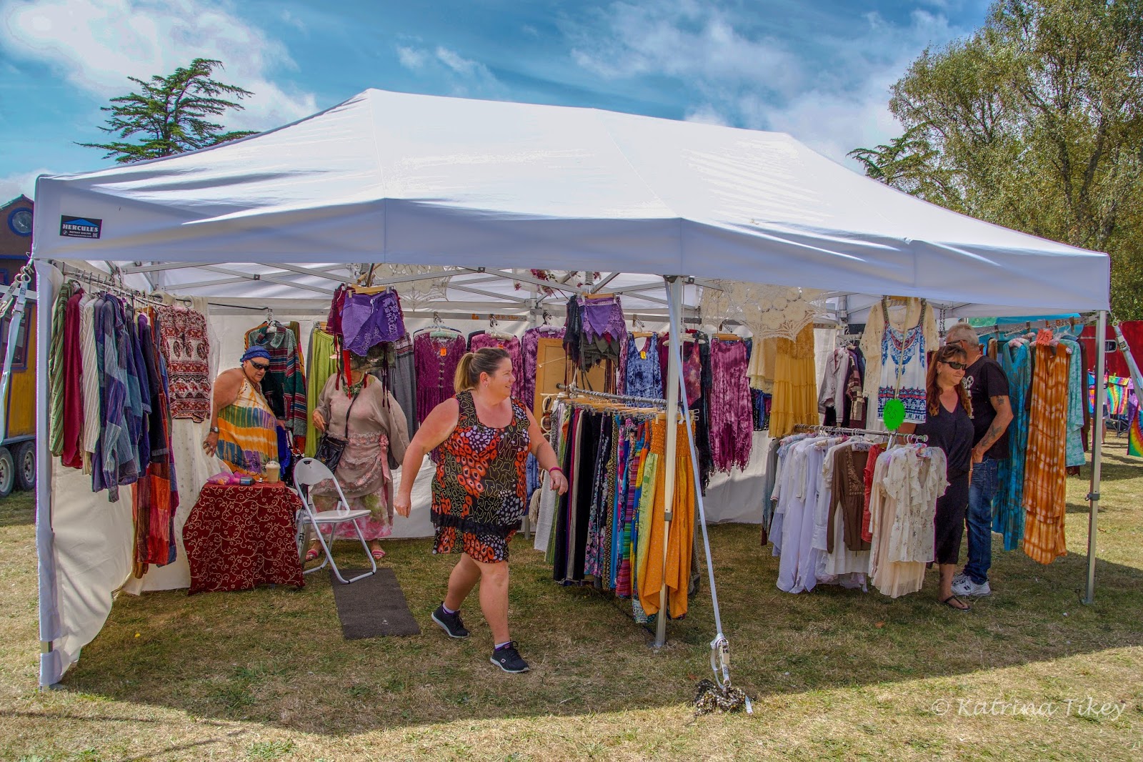 Paws Awhile: The Original Gypsy fair