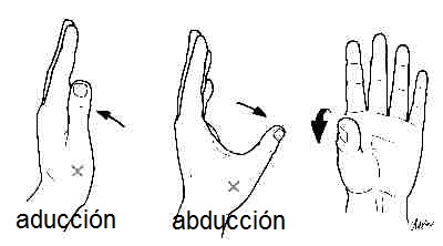CINESITERAPIA DE LA MANO: abril 2013