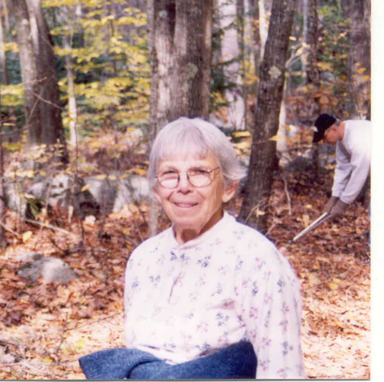 The Mixed-Up Files of Nancy Carnegie Merrill