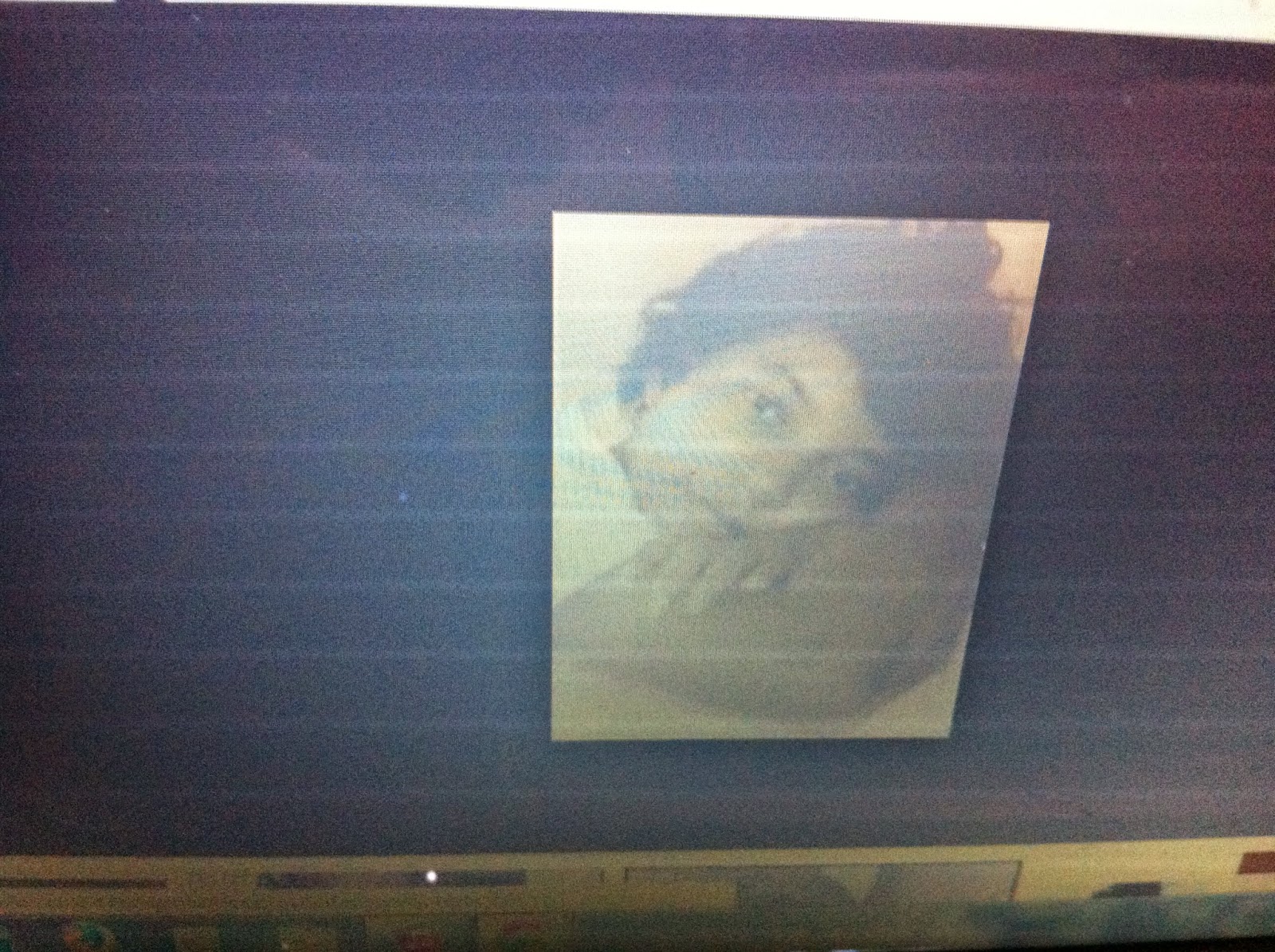 THE BLACK SOCIAL HISTORY:: BLACK SOCIAL HISTORY : AFRICAN AMERICAN ...