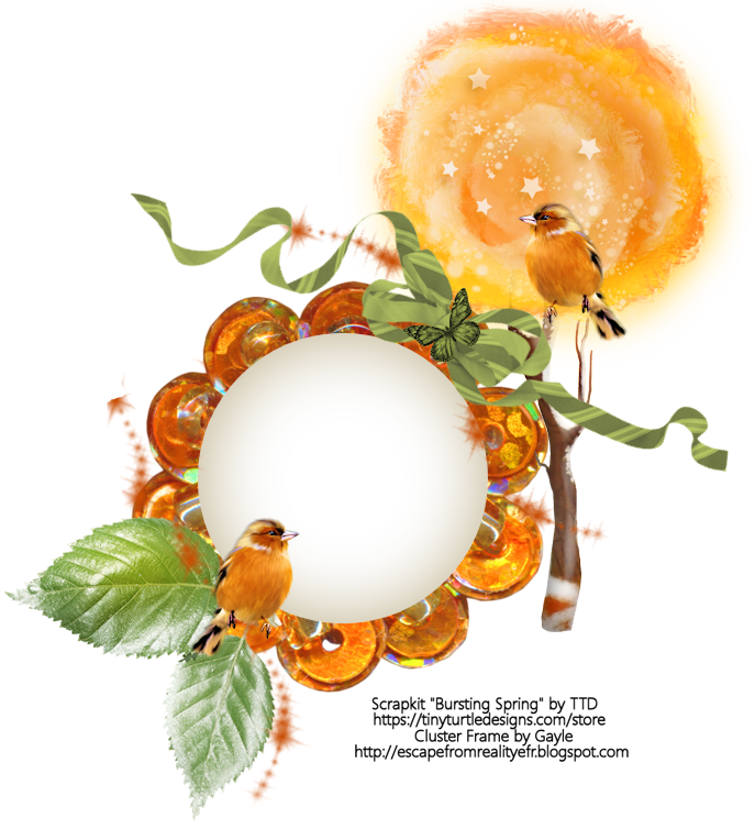 Escape From Reality Blog: FTU 'Bursting Spring' Cluster Frames TTD