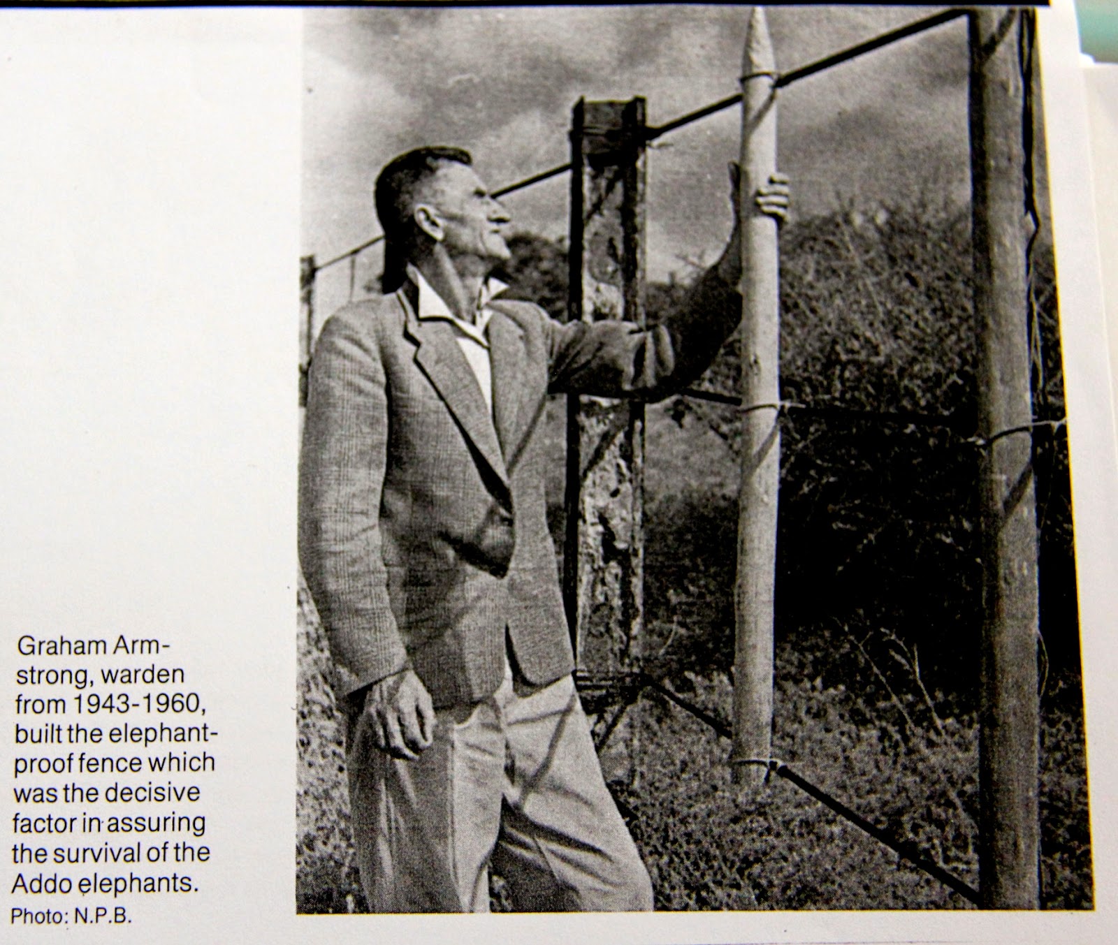 Addo and the Sundays River Valley: Graham Armstong, Addo Elephant Park ...