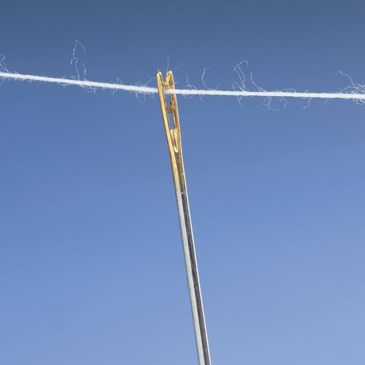 From the Strawberry Patch...: In The Loop