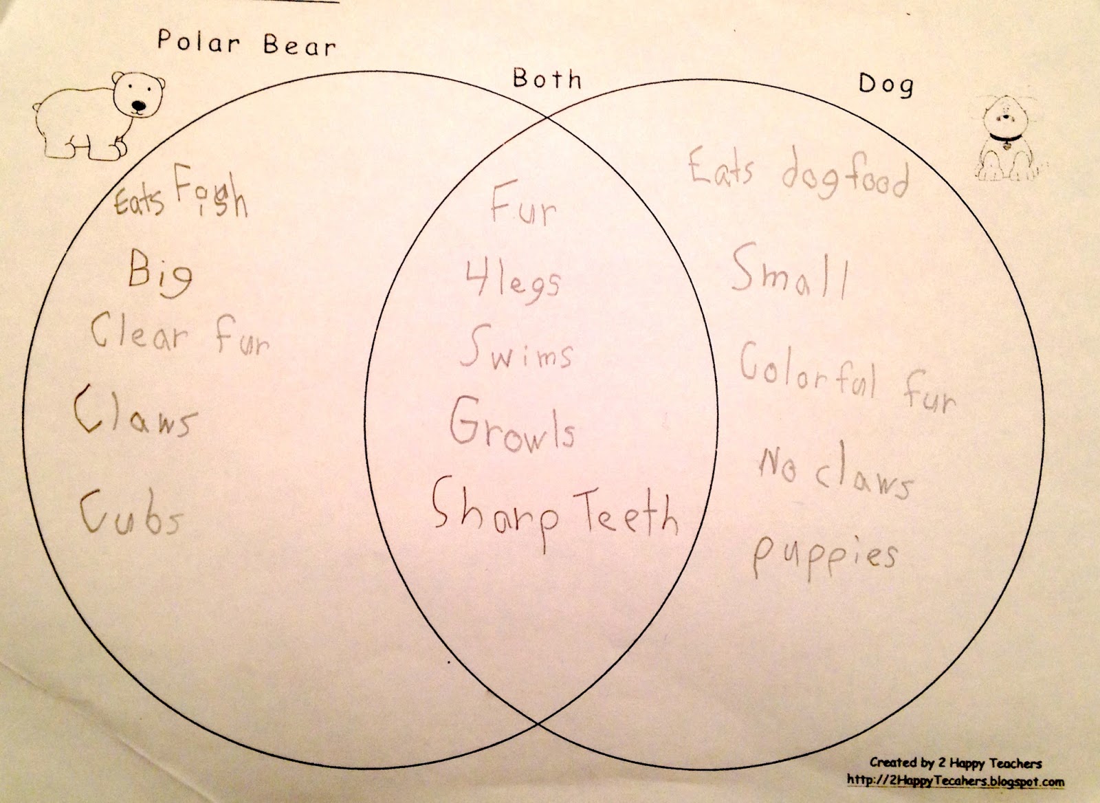 2 Happy Teachers: Exploring Polar Bears: A Cross-Curricular Unit