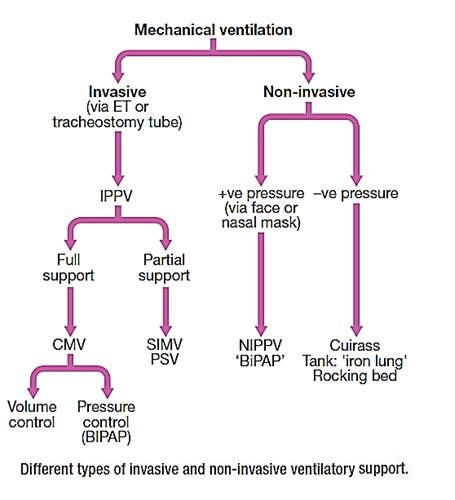 Nursing: INTRODUCTION TO MECHANICAL VENTILATOR