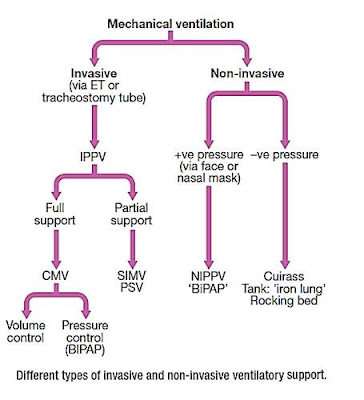 Nursing: INTRODUCTION TO MECHANICAL VENTILATOR