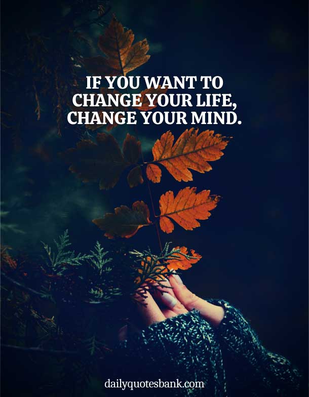 240 Deep Anonymous Quotes About Life Lessons, Truth, Happiness