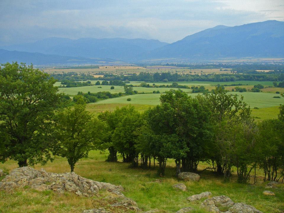 Non-Stop Birding: The Balkan Ecology Project- Wildlife Friendly Farming