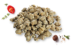 Kakka Irachi Ularthiyathu / Kerala style Clams Roast /Nadan style clam ...