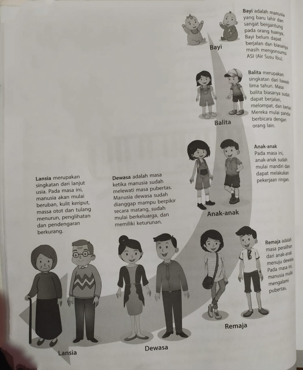 Seputar Pendidikan Materi Ipa Kelas Pertumbuhan Dan Perkembangan Manusia Hot Sex Picture