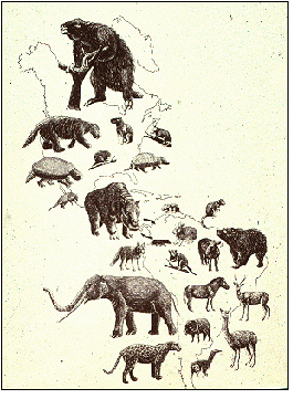 NephiCode: The Great American Interchange