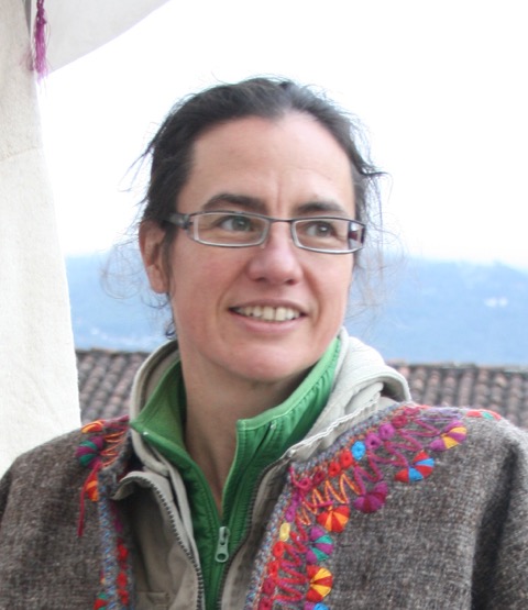 Sólido puente: ALGUNAS TEORÍAS LÉSBICAS-Jules Falquet-INTRODUCCIÓN