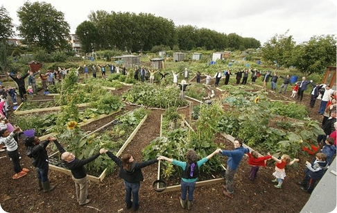 Cowling Allotment Group: Allotments - A Vital Community Resource, Pt I