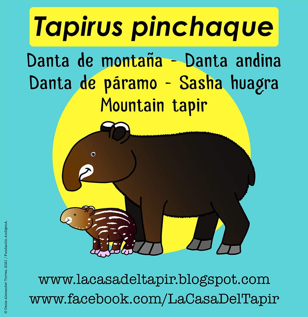 LA CASA DEL TAPIR: SOBRE LOS TAPIRES