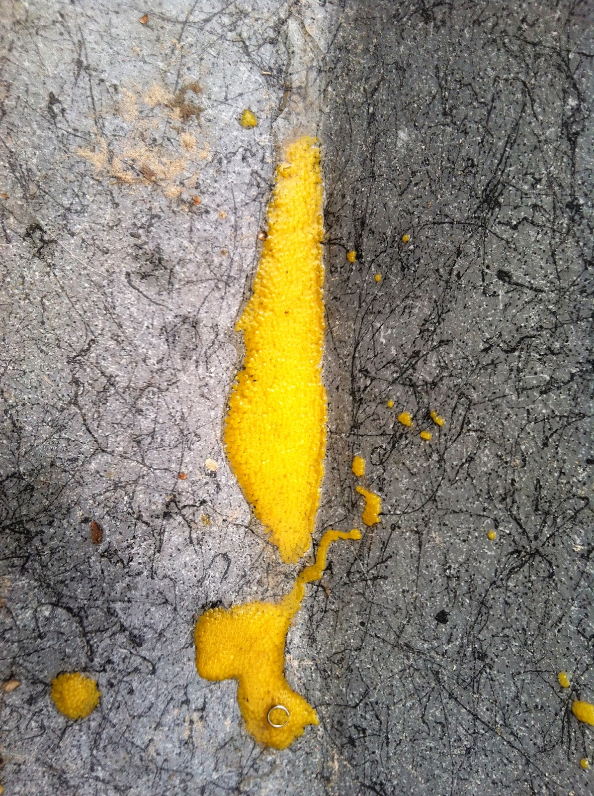 MATCHING THE HATCH- SUCKER SPAWN ~ Matt Supinski's Gray Drake Lodge ...