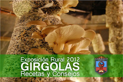 salud y humanidad: GIRGOLAS. RECETAS Y CONSEJOS UTILES.