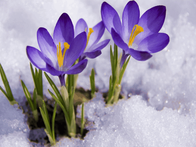 Блог учителя англійської мови