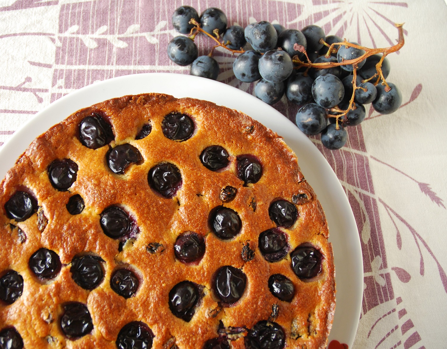 Gâteau à la ricotta et aux deux raisins