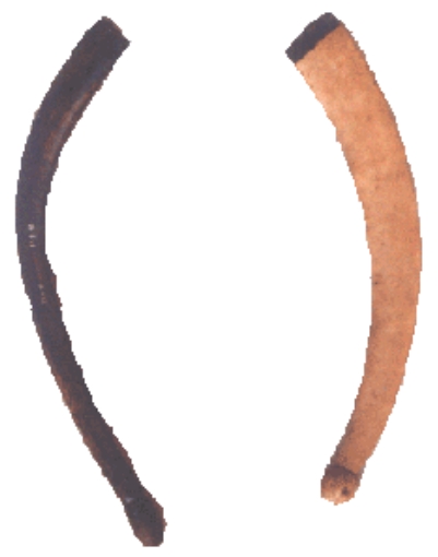 தென்பாண்டி சிங்கங்கள் : Maravar Wepon Boomerang collected in Maravar ...