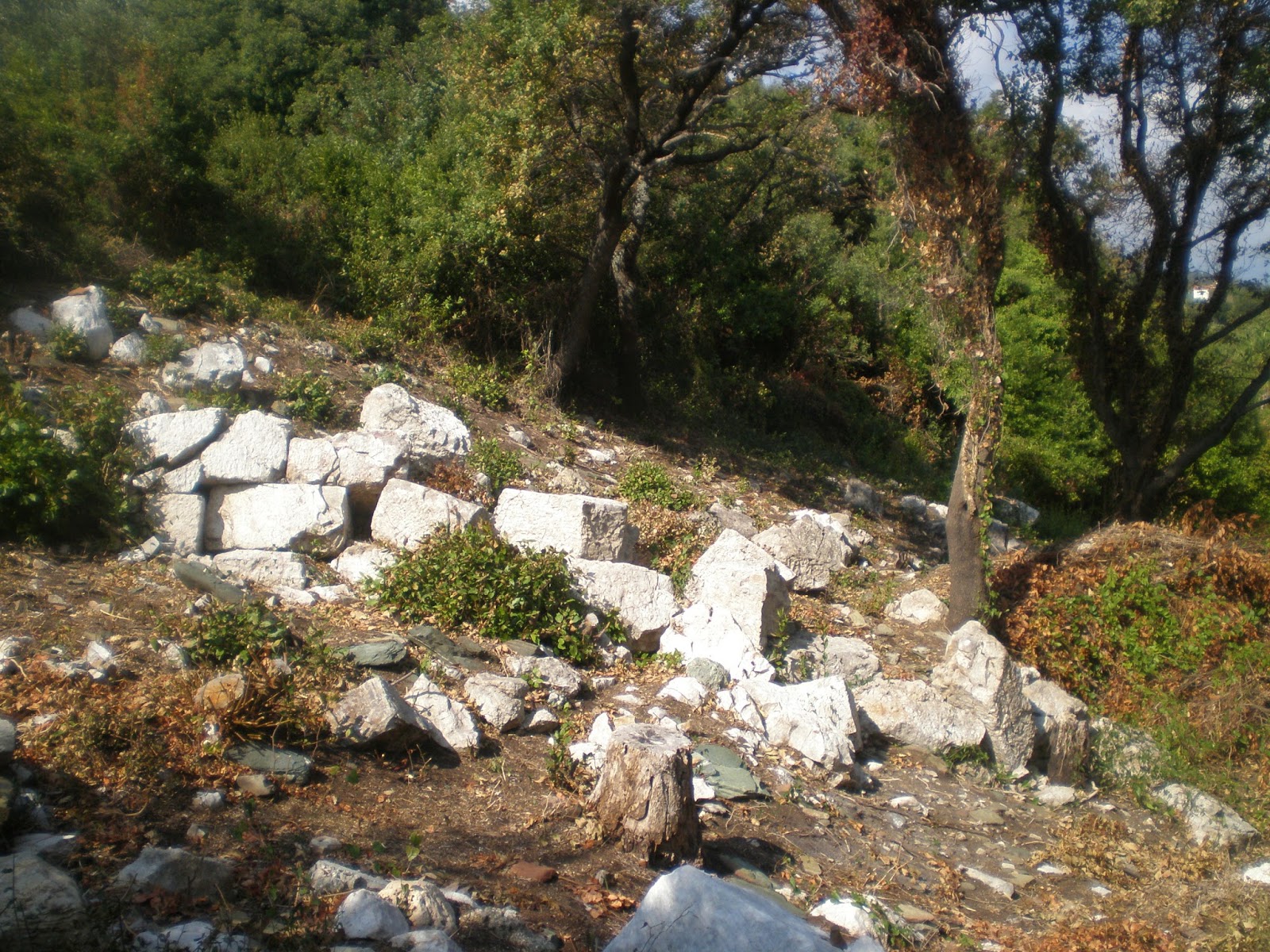 ΚΟΙΝΩΦΕΛΕΣ ΙΔΡΥΜΑ ΠΕΡΣΕΥΣ ΑΘΗΝΑΙΟΣ: 2013