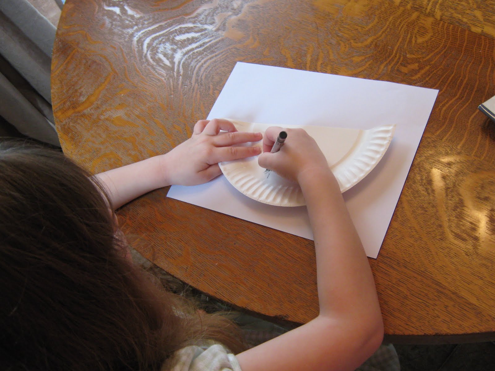 Almost Unschoolers: President's Day Paper Plate Beards