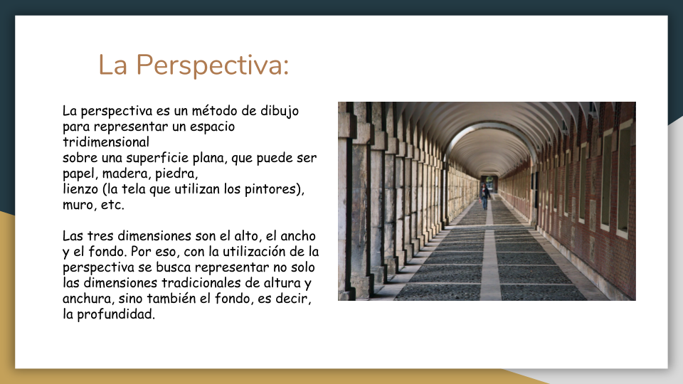 Educación Plástica : La Perspectiva