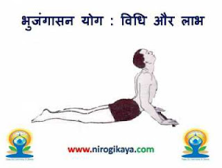 भुजंगासन योग : विधि और लाभ | Nirogikaya - Jiyo Healthy