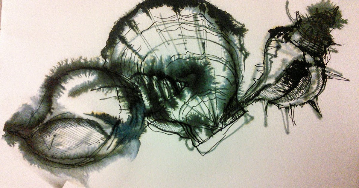 Create A Drawing A Day: Shells bleeding ink.