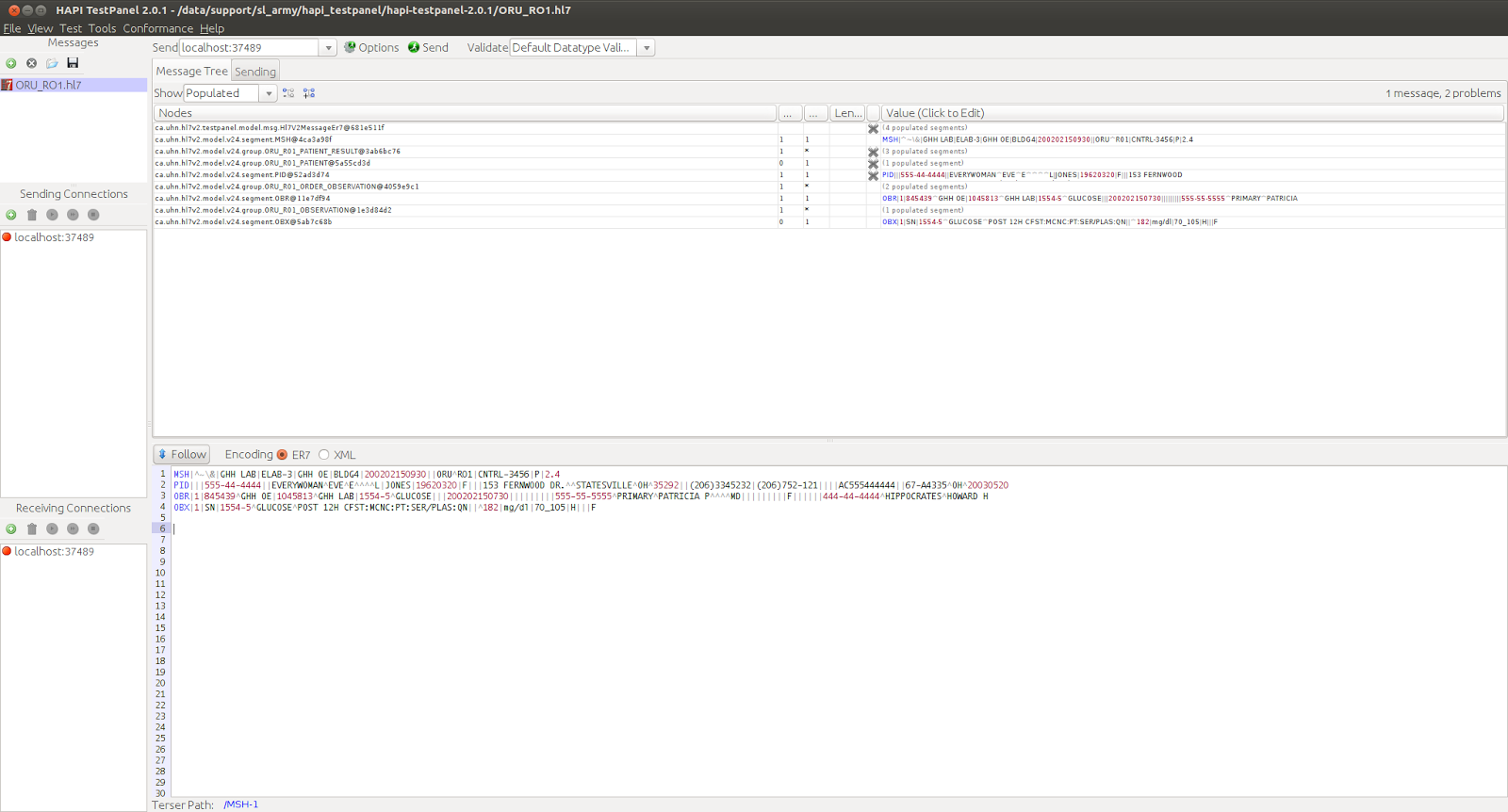 Tans Techy And Sketchy Sending Hl7 Messages Using Hapi Test Panel