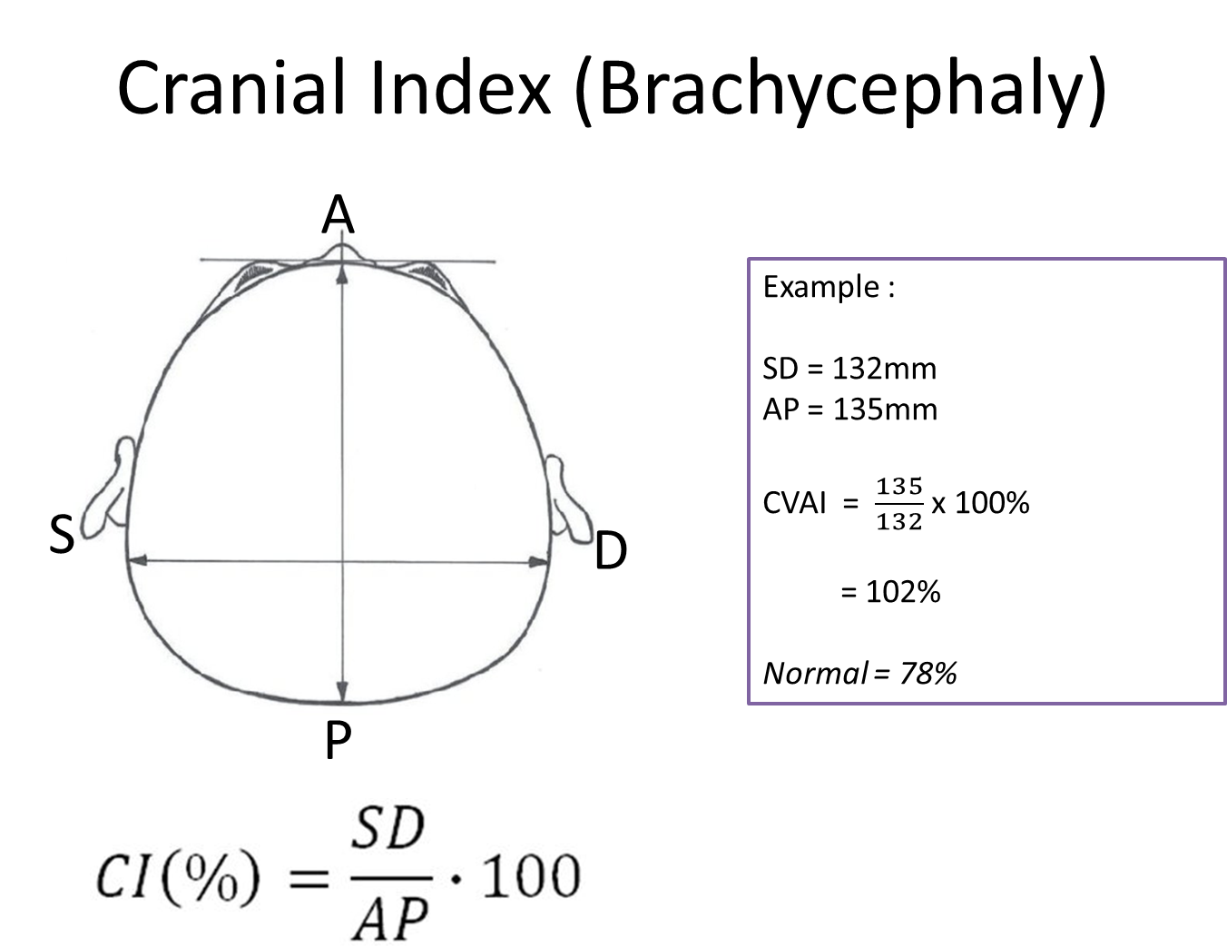 Using craniometer: Measurements of Baby Flat Head Severity with ...