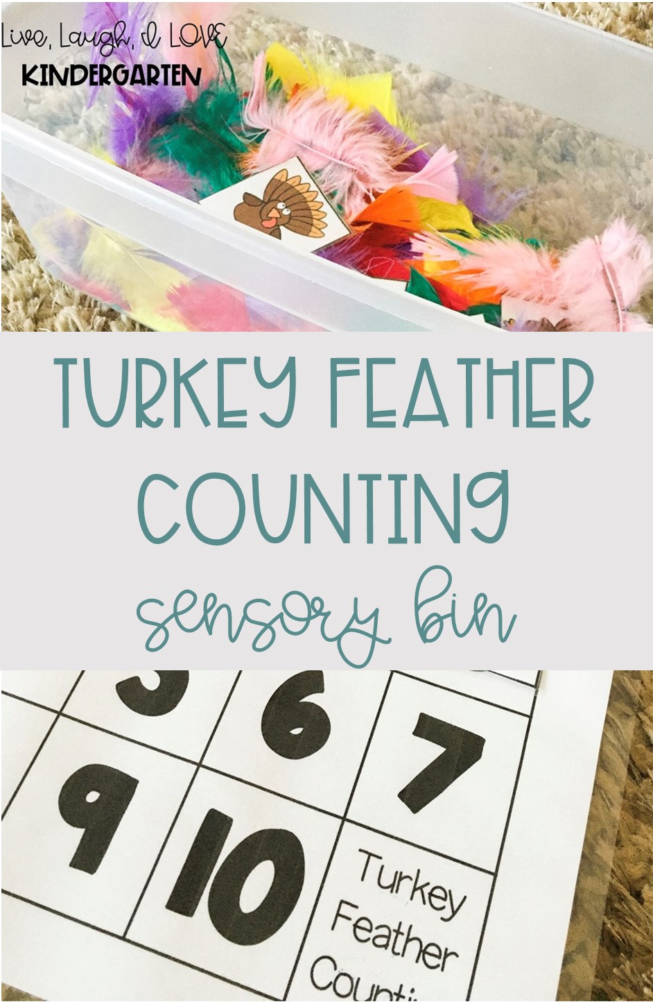 I wanted to share a fun sensory bin idea for you to use in the next ...