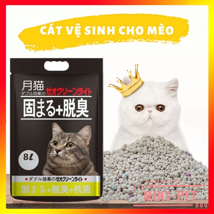 MUA CÁT CHO MÈO Hàng Nhật Bản Chất Lượng Cao - CÁT VỆ SINH CHO MÈO
