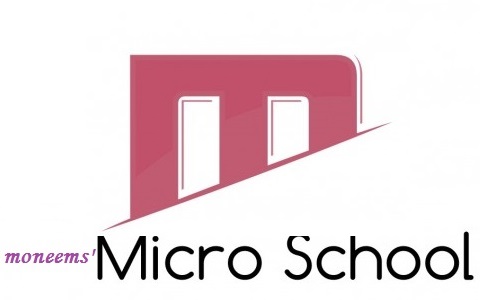 microschoolbd