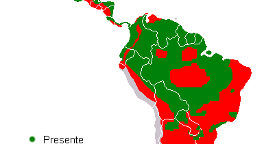 Abe's Animals: Jaguar range map